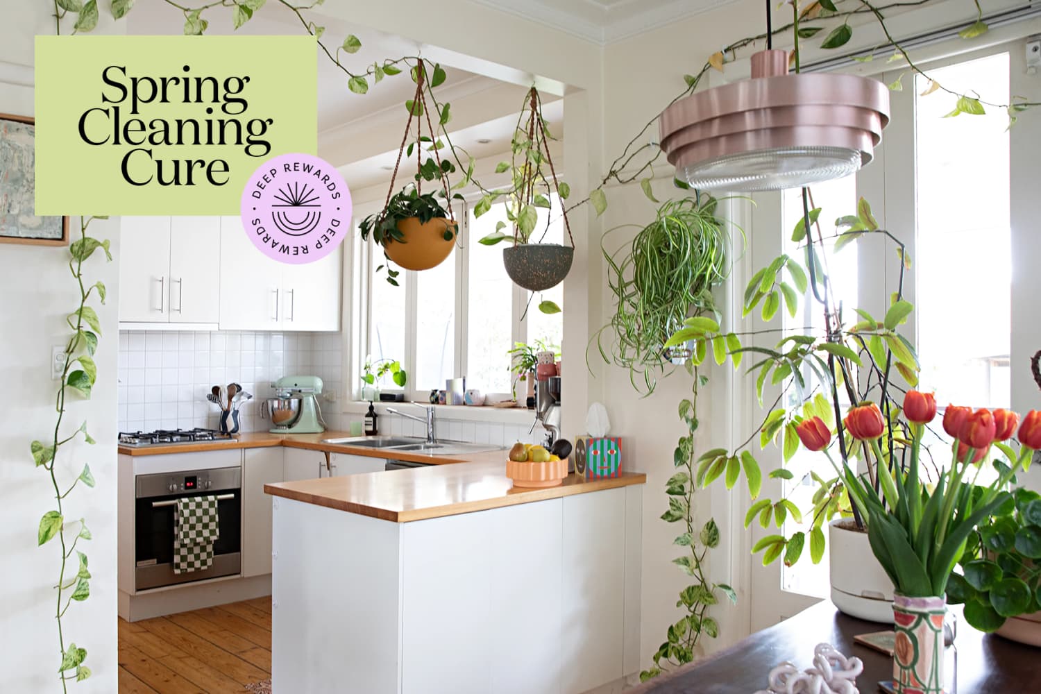 Sign Up for Spring Cleaning Cure to Deep Clean Your Home in 10 Days | Apartment Therapy